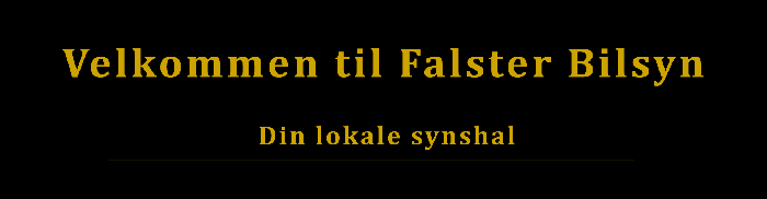 falsterbilsyn.dk